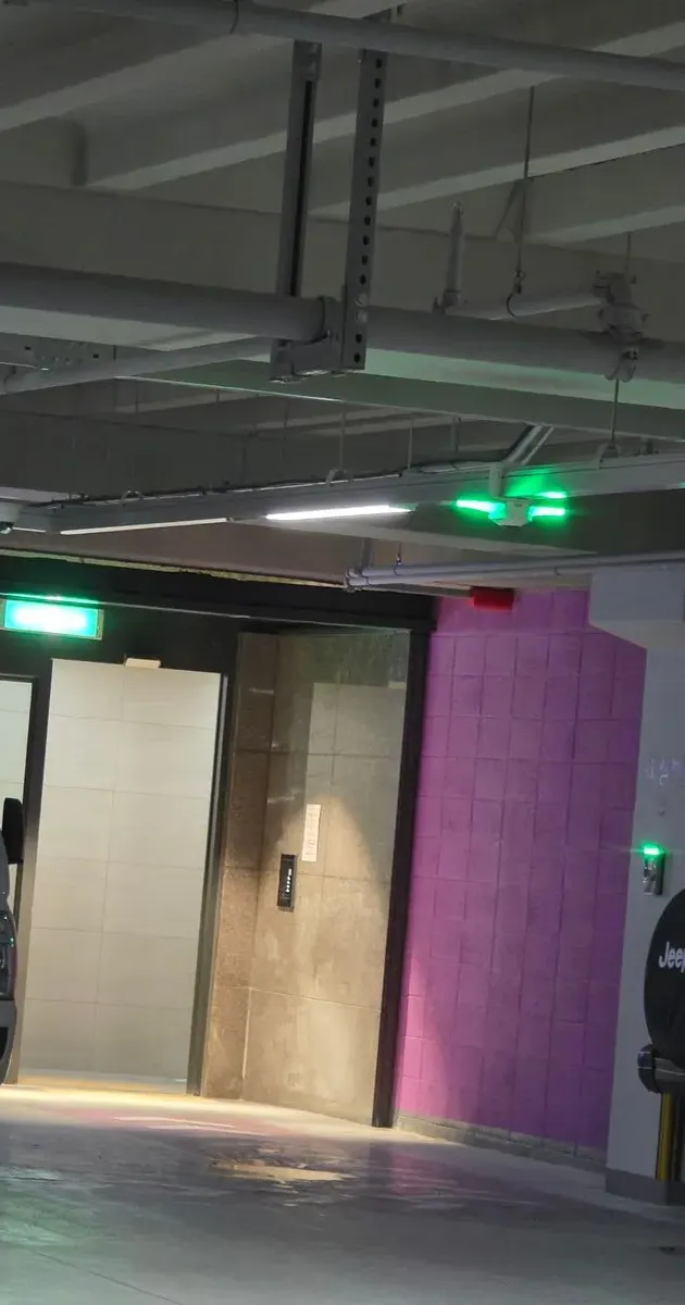 미리 오셔서 박스와 바구니를 가져다 주셨고 짐싸는 방법도 친절하게 알려주셨어요 아주아주 추천합니다ㅎㅎ 숨고 숨은고수