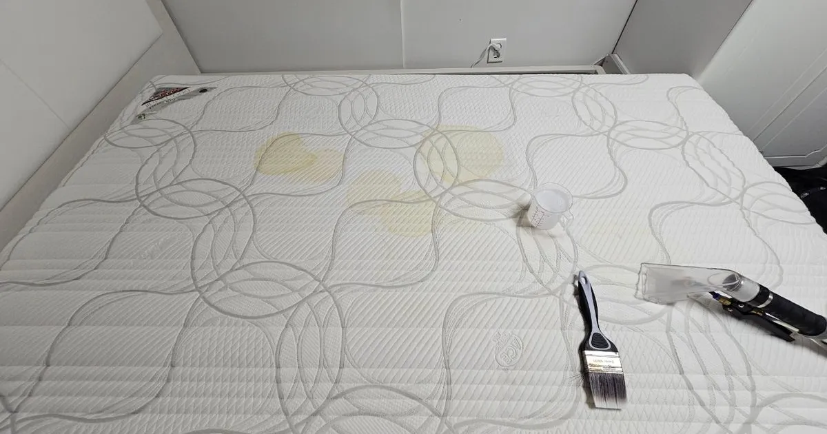 강아지가 침대에 쉬를 해서 부르게되었어요ㅎㅎ 시작 전부터 설명도 잘 해주셨고 꼼꼼하게 해주셨어요 다음에도 또 여기서 할거같네요 감사합니다 숨고 숨은고수