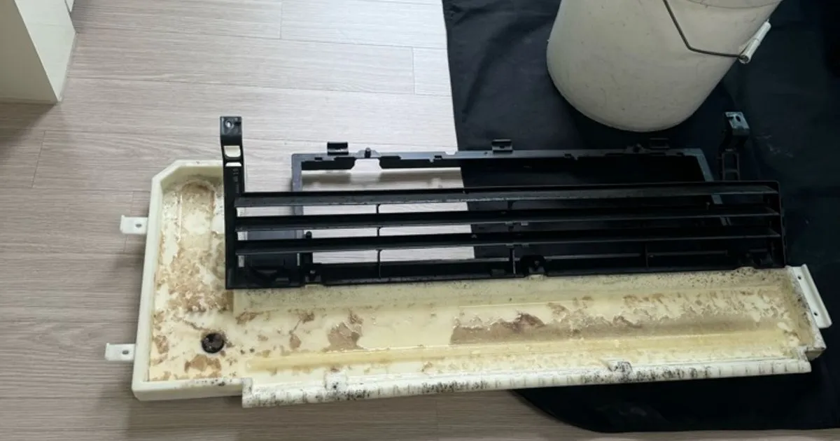 하길 너무 잘했어요 친절하시고 설명도 잘 해주셔서 너무 감사합니다 숨고 숨은고수