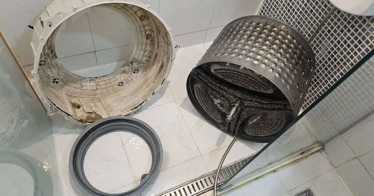 이번에 처음 신청해서 받아봤는데 일처리도 꼼꼼하시고 깔끔하게 잘 마무리해주셨습니다 감사합니다 숨고 숨은고수