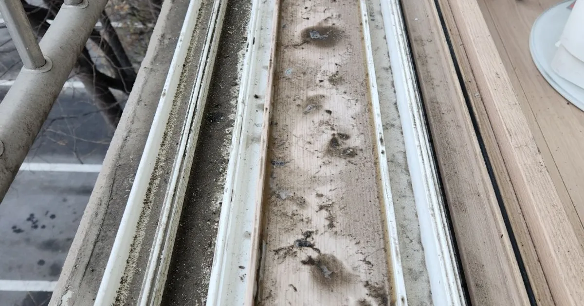 청소 이후 불만족스러운 부분이 있어 연락드렸는데 바로 피드백 주시고 As오셔서 수정해주셔서 감사했어요 제가 착각한 부분도 있었는데 친절히 알려주셔서 좋았습니다 고생하셨습니다