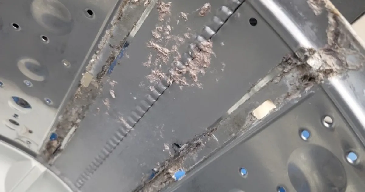 세탁기랑 에어컨 분해청소 맡겼는데 엄청 깨끗해졌어요 사진도 꼼꼼하게 찍어주셔서 청소과정 사진으로 확인 가능해서 좋았어요