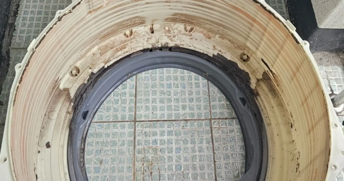 오랜 노하우로 빠르게 청소해주시고 나중엔 어떻게 관리해야하는지도 꼼꼼히 설명해주셨어요 숨고 숨은고수