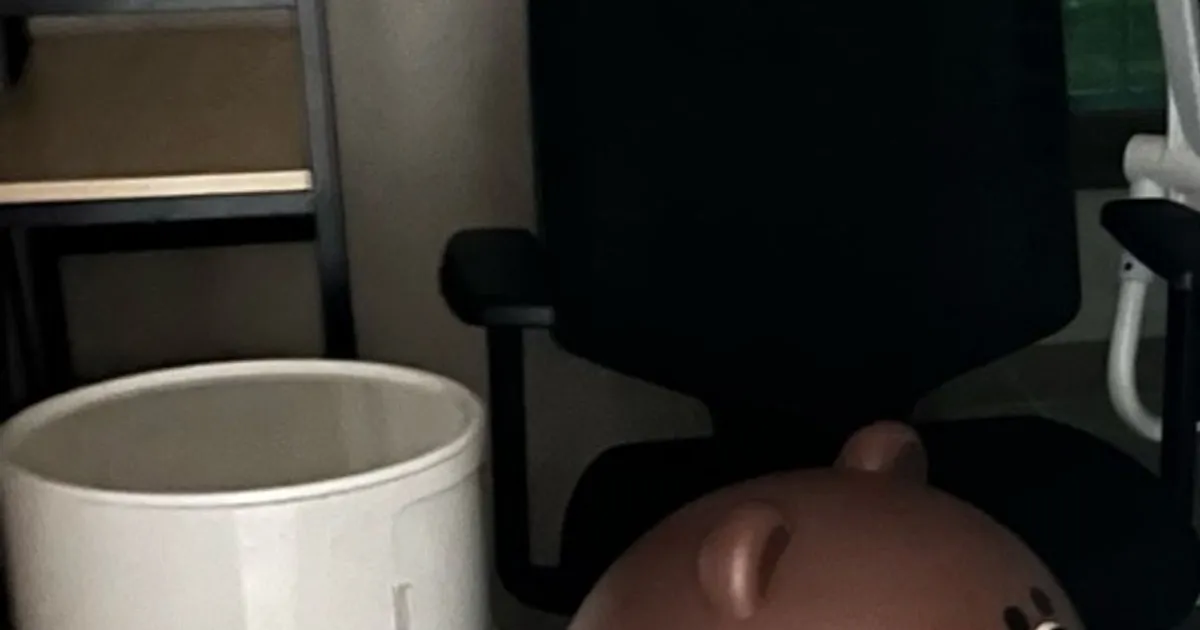 집을 정리하지 못하고 급하게 이사를하여 짐이 너무 많았는데 4분이 오셔서 이사가 빨리 끝난거같아요 꼼꼼히 물건 포장해주시고