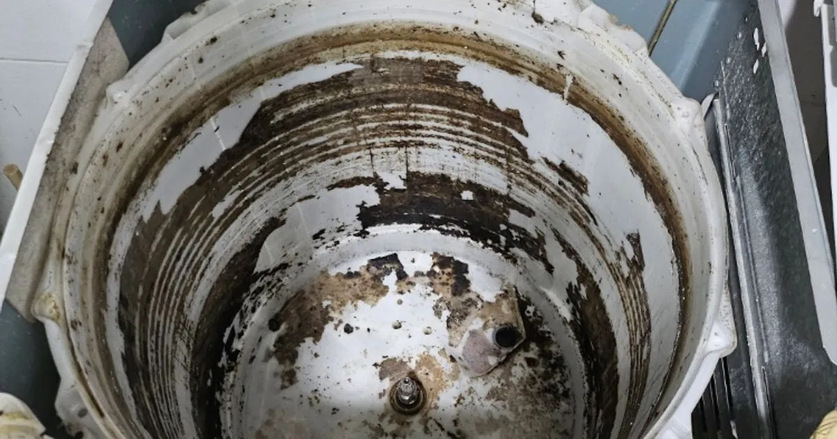 오랫동안 청소 안한 세탁기여서 분해하는거부터 힘들었는데 잘 해주셨습니다 청소도 깨끗하게 해주셨어요 숨고 숨은고수
