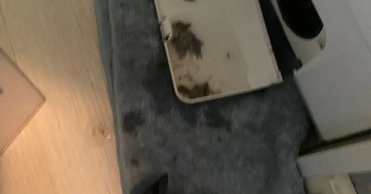저는 이사짐 챙기고 다른것땜에 바빠서 부모님이 보셨는데 엄청 칭찬하시더라고요 열심히 하시고 깨끗하게하신다고 추천해요 숨고