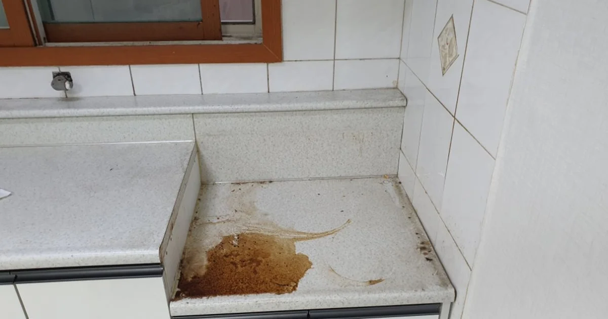 좋았습니다 깨끗합니다 제가 바빠서 옆에 없었는데도 깨끗하게 청소하시고 사진까지 보네 주셨습니다 숨고 숨은고수
