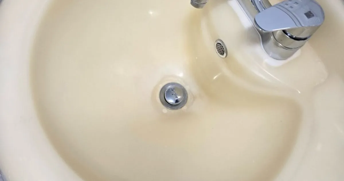친절하시고 꼼꼼히 설명해주셨습니다 청소상태는 두말할것없이 완벽합니다 감사합니다 숨고 숨은고수