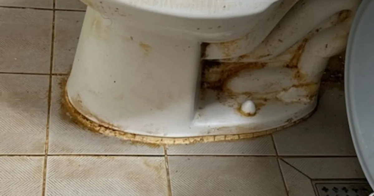 친절하게 상담해주시고 결과물도 아주 만족합니다 담에 또 부탁드리겠습니다 수고하셨습니다~ 숨고 숨은고수