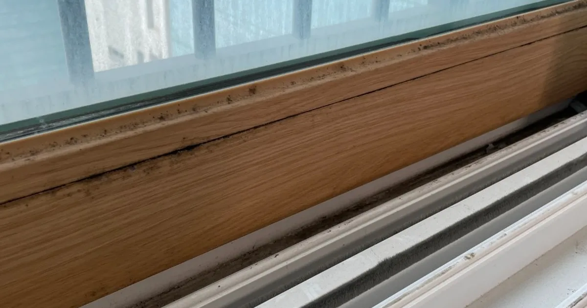 진행과정 공유 잘 해주셔서 좋았어요 특이사항 미리 전달드리면 그 부분 신경 써주시고 혼자서는 하기 힘든 창틀 청소도 꼼꼼히 진행 해주세요 친환경 세제 사용하시구요