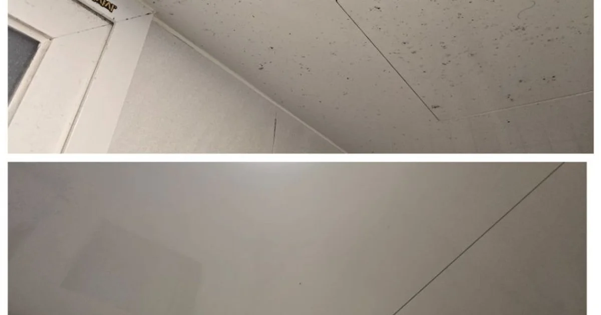 엄청 꼼꼼하게 잘해주시고 엄청 친절하세요 쓰레기도 정리해주시고 감사합니다 숨고 숨은고수