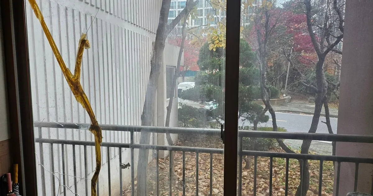 합리적인 가격에 사장님 친절하게 응대해주시고 ~사업 번창하세요 숨고 숨은고수
