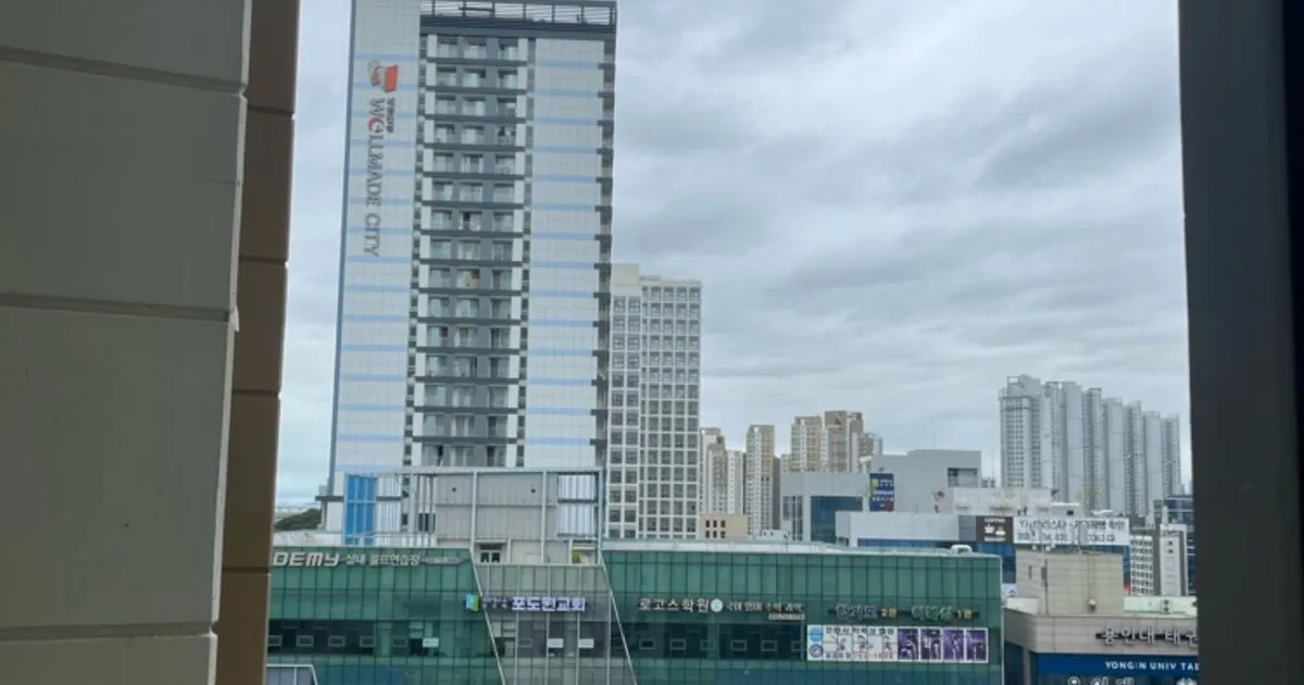 방충망 할까말까 고민 많이하다 고수님께 부탁드렸는데 작업도 금방되고 결과물도 만족입니다 시안성 너무 좋아요 숨고 숨은고수