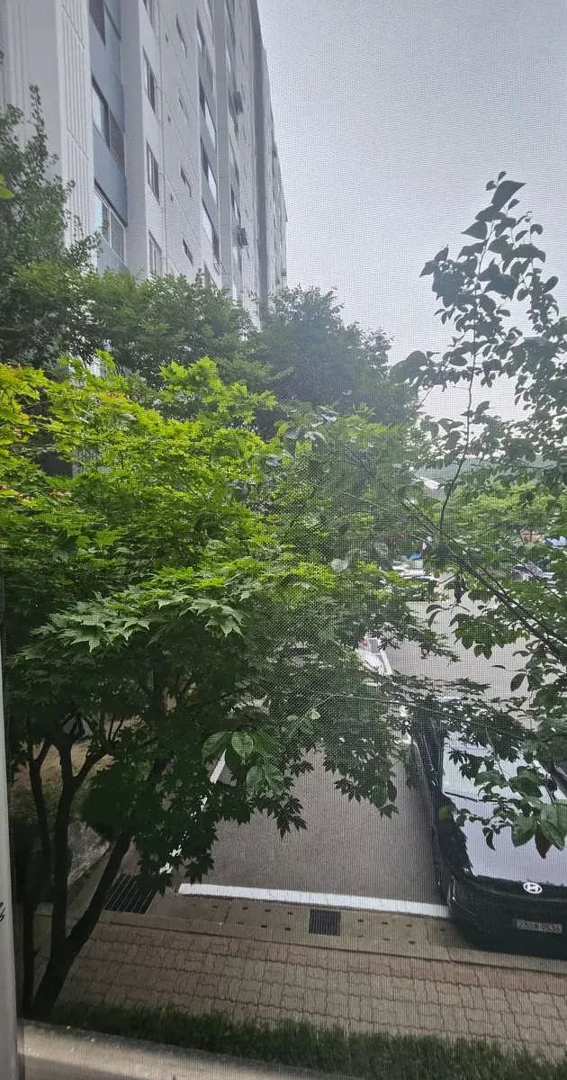 여름철 초파리 유입을 막기 위하여 미세 방충망을 설치하였어요. 방충망을 설치한 후 초파리가 집안에 들어오지 않아요. 너무 ...