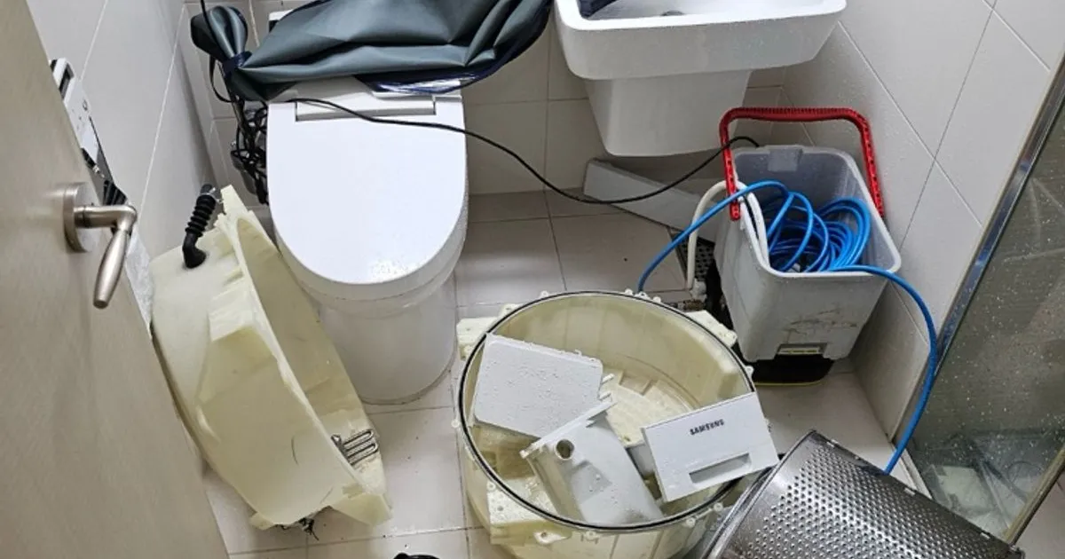 전날 일정 문의 드렸었는데 빠르게 답변주셔서 약속 잡았습니다 세탁기도 깨끗하게 청소해주셨습니다 숨고 숨은고수