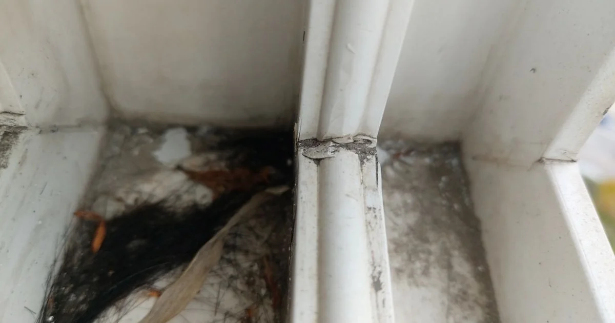 기존에 살던 분이 정말 지저분하게 사용하셔서 막막했는데 정말 깔끔하게 해주셨어요 살균까지 해주셔서 너무 감사드립니다