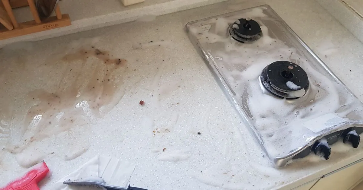 첫 거래였는데 처음 진행부터 결과까지 사진으로 공유해주셔서 전후 비교하기 좋았고 깔끔하게 정리해주셔서 만족합니다 숨고 숨은고수