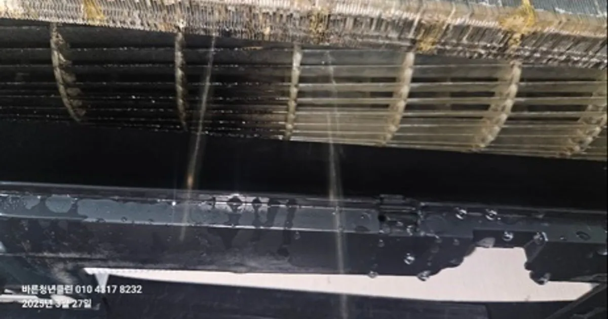 이렇게 더러웠던 에어컨인 줄 몰랐는데 정말 고수님이 청소 하시니 곰팡이가 다 불쌍하네요 그정도로 너무 꼼꼼하고 친절하게 진행사항 수시로 공유 해주시면서 진행해주셔서 너무