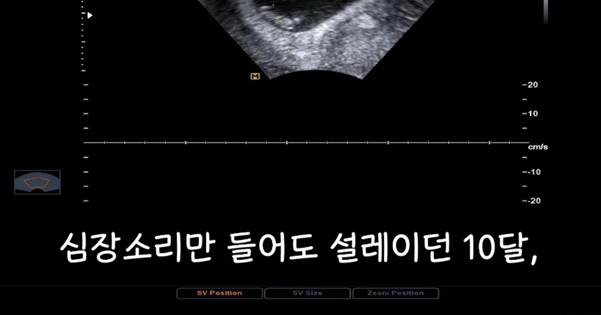 아기 성장동영상 제작했는데 제가 원하던 스타일 잘 반영해서 해주셨고 돌잔치때 성공적으로 가족들에게 감동줬습니다 숨고 숨은고수