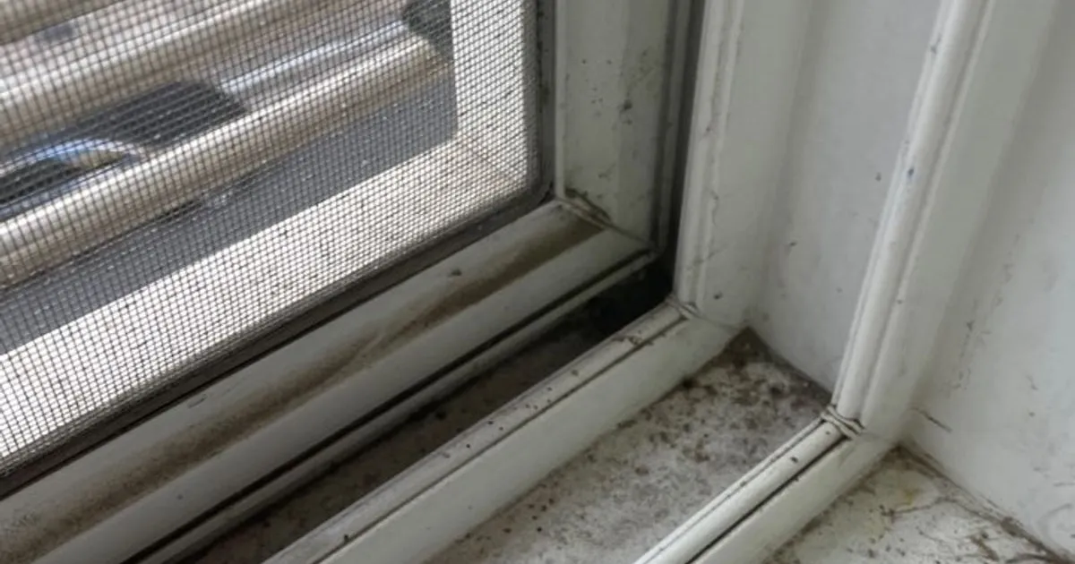 인테리어후 클린모드 업체를 통해 청소를 의뢰했습니다 맡겨본 결과 상담도 친절하게 해주시고 진행현황도 수시로 공유했던점이 좋았습니다 가격도 합리적이어서 만족스럽습니다