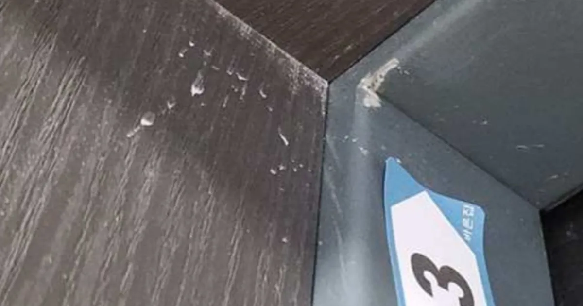 숨고 견적 여러군데서 받았는데 사장님이 집적 오시고 정말 꼼꼼히 봐주셨습니다 사장님이 건설쪽에 일하신 건지 건축법도 잘 아시는 것 같았고 여러집 하느라 바쁘신데도 꼼꼼히