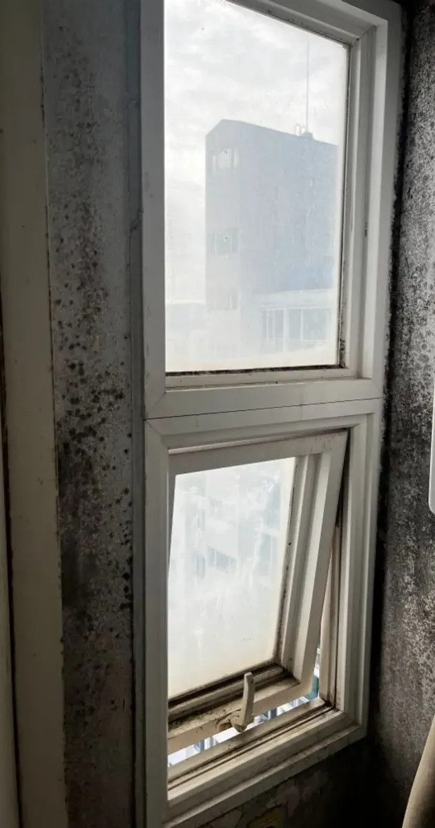 정말 꼼꼼하게 잘 청소해주셨고 구석구석 손이 안닿은데가 없다면서 와이프가 많이 좋아하네요 고생 많으셨고 지정된 시간 이후까지