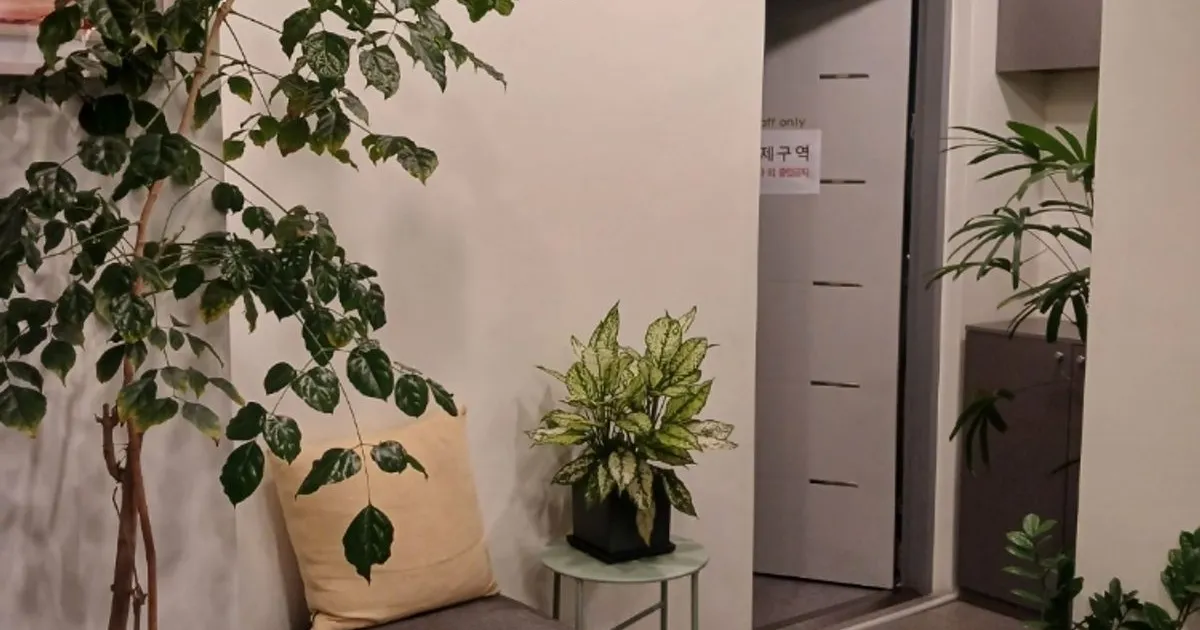 약속시간에 칼 같이 도착해주셨고 유도리있게 요청사항에 응해주셨습니다 청소 결과도 만족 스럽습니다 다음에 또 이용할것 같아요