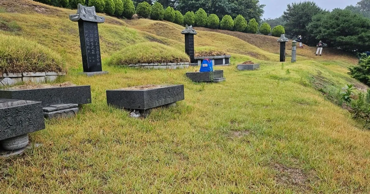 모든 것이 기대 이상이었습니다 추가 금을 요구받은 바 없지만 감사 표시로 약간 더 드렸습니다 앞으로도 기회 되면 도움