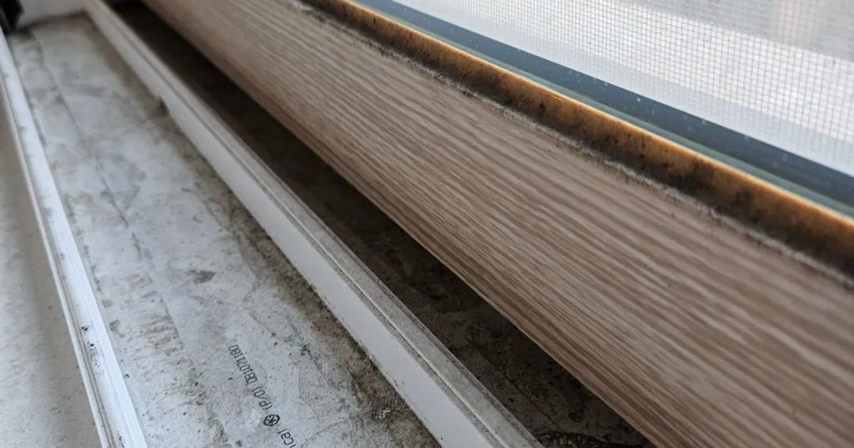 집에 없었는데도 꼼꼼히 확인하고 전화 및 사진으로 믿음직하게 진행해주셨어요 냉장고에어컨곰팡이제거 추가했는데 깨끗해서 너무 좋아요~ 숨고 숨은고수