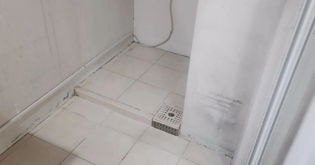 시간에 맞게오셨고 오래된집이라 더러웠을텐데 깨끗하게 잘 해주셨어요 식시세척기도 깨끗하게 해주셨습니다 상담도 바로해주셔서 너무