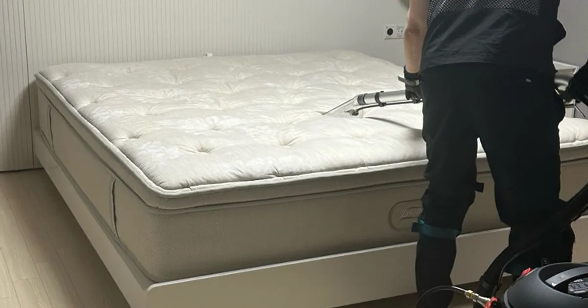 소파 하는김에 매트도 같이 했는데 두분이 오셔서 빠르게 진행해주셨어요 먼지 나오는거 전부 다 확인시켜주시고 친절하게 꼼꼼히 잘