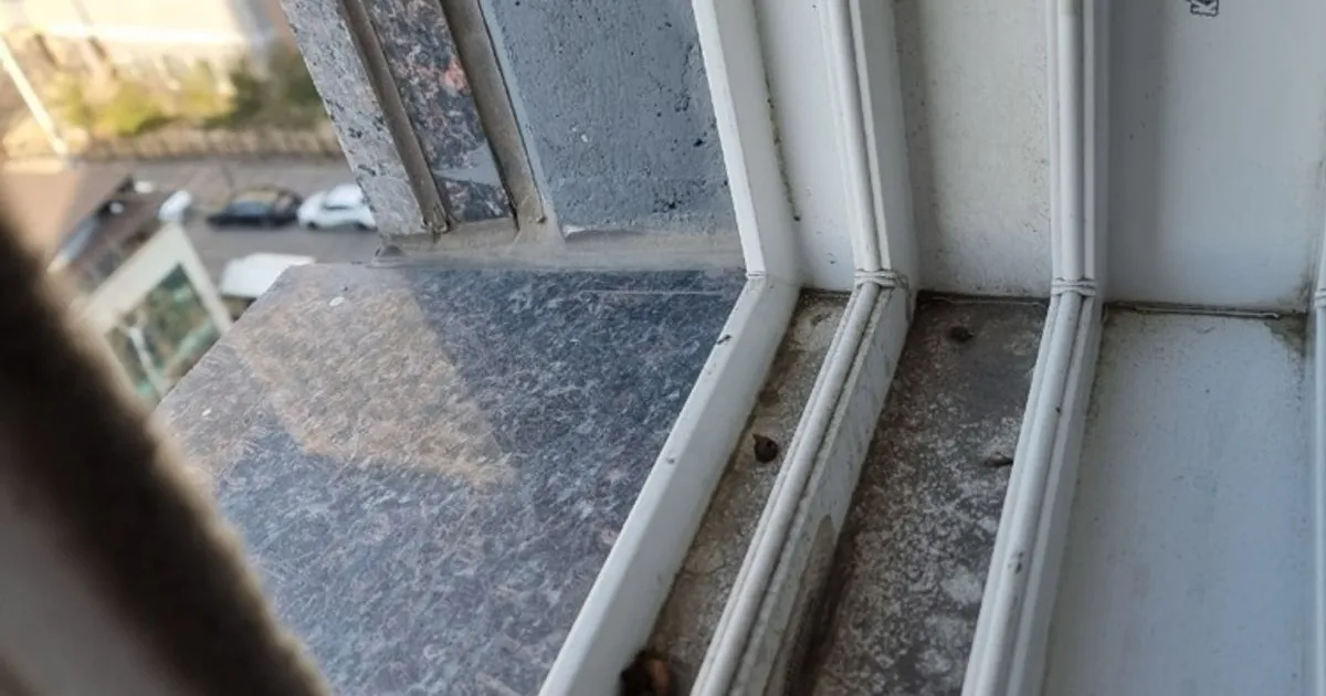 꼼꼼하게 봐주시고 너무 좋았습니다 작업과정도 문자로 보내주셔서 믿고 맡길 수 있었습니다 숨고 숨은고수