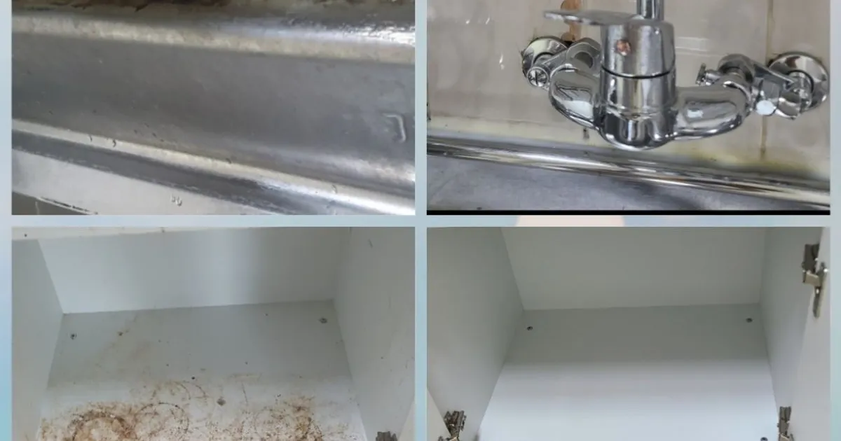 우선 아주 범죄영화에 나올 것 같은 상태의 집 환경이었어요 항상 좋은집에만 살았던 저 사실 엄청나게 놀라서