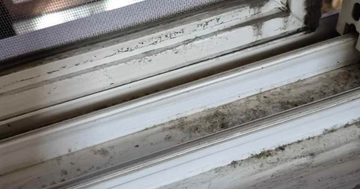 생각치 못했던 부분까지 꼼꼼하게 체크해주셔서 감사했습니다 특히 미처 발견하지 못했던 곰팡이를 제거후 사후관리팁도 친절하게 알려
