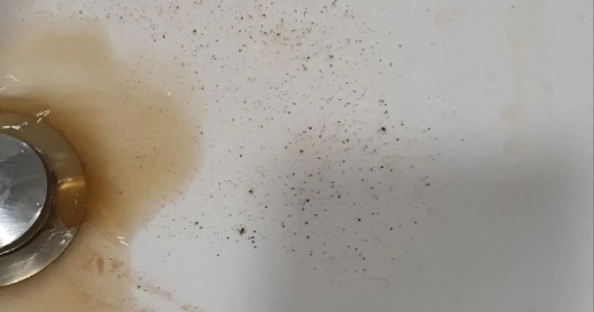 30년 넘은 구축아파트라 배관이 많이 노후된 상태여서 수압으로 청소하는 방식은 많이 불안했는데 그런 걱정없이 난방과 수도배관 청소를 받게 되었고 보험가입까지 해주셔서 더욱