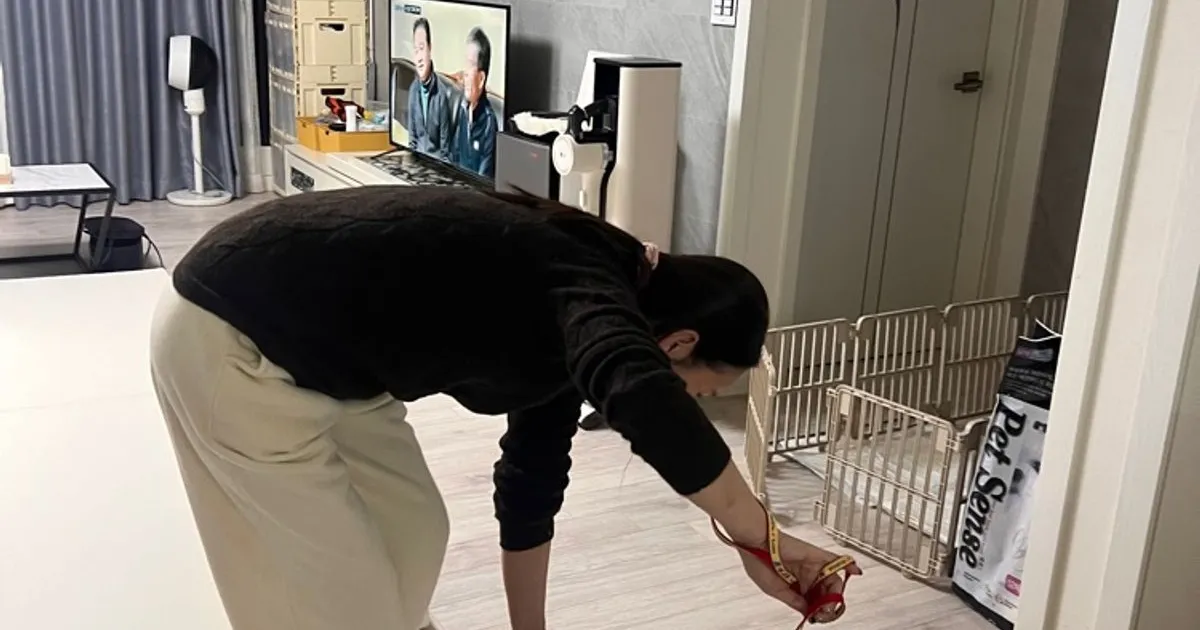 처음받아보는데 친절하고 자세하게 설명해 주시고 뭐가 맞고 뭐가틀린지 정확히 알게된것같습니다 자주이용하게 될것같습니다 퍼피