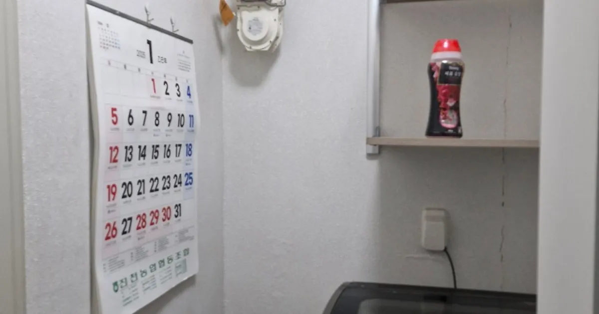 사장님 합리적인 가격에 엄청 꼼꼼히 잘 해주셨어요 추천해요 정말로ㅎㅎ 싹 다 지워지고 너무너무 추천합니다 꼭 이용하세요