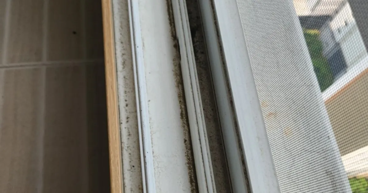 가격이 다른곳보다 저렴해서 간단히 해주시는줄 알았는데 꼼꼼하게 진행해 주시고 결과물 설명도 잘해주셔서 깨끗하게 지낼수