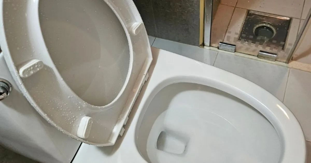 너무 깨끗하게 잘해주시네요~ 앞으로도 새집청소는 새집처럼에 해야겠어요 숨고 숨은고수