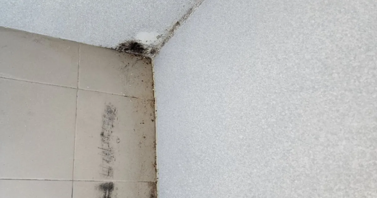 갑자기 연락드렸는데 다음날 일요일임에도 불구하고 바로 와주셨어요 공정마다 사진 찍으며 설명해주시고 결로 원인도 자세히 설명해