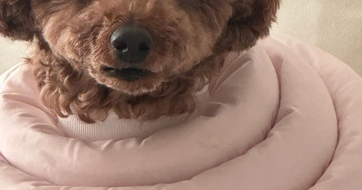 시간약속도 잘 지켜주셨고 설치도 빠르고 비용도 합리적이어서 좋았습니다 이거저거 설명도 친절하게 잘 해주시고 정말 감사해요