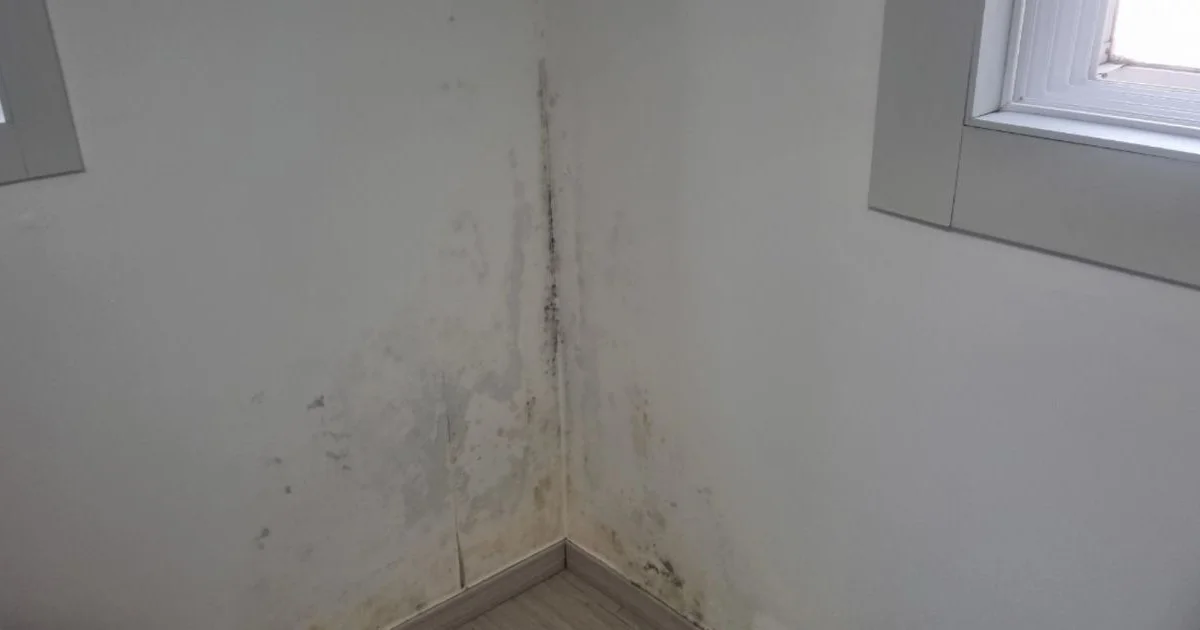 곰팡이가 생긴 후 점점 심해져 고민이었는데 깔끔하고 세심하게 처리해주셔서 감사합니다 어떻게 진행되는지 자세히 말씀해주시고 너무