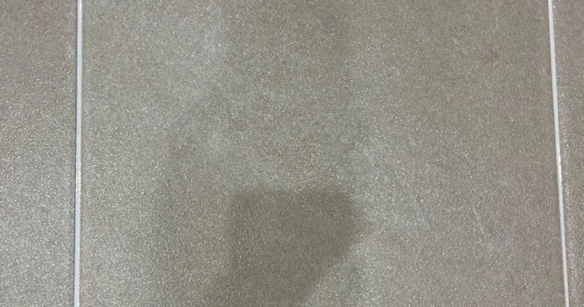 꼼꼼히 잘해주셨고 요청사항 잘 반영해주셔서 감사합니다 고생하셨어요 숨고 숨은고수