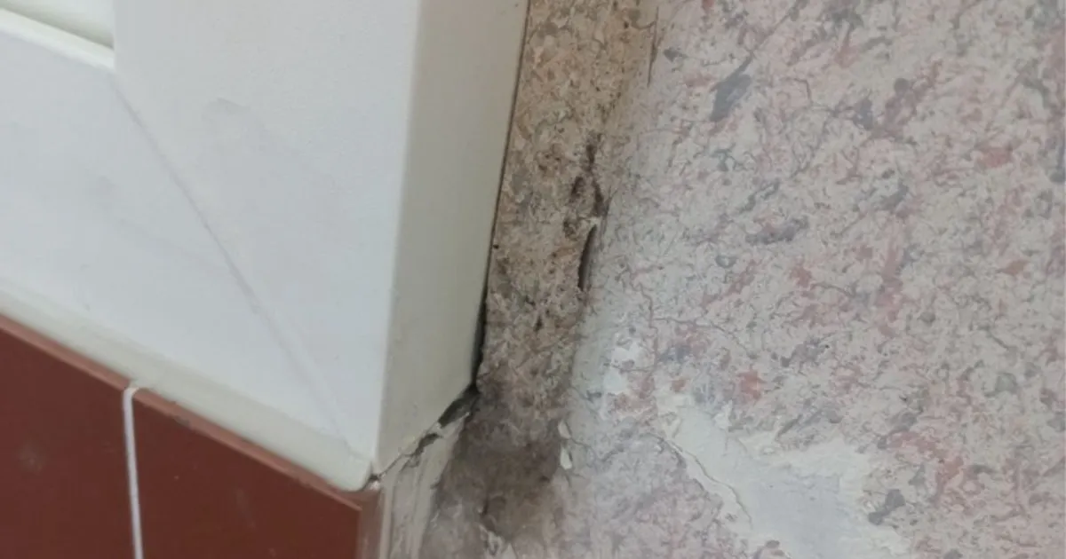 친절하게 상담해주시고 작업하기로 한 부분 외에 다른 부분에 대해서도 살펴봐주셨습니다 숨고 숨은고수