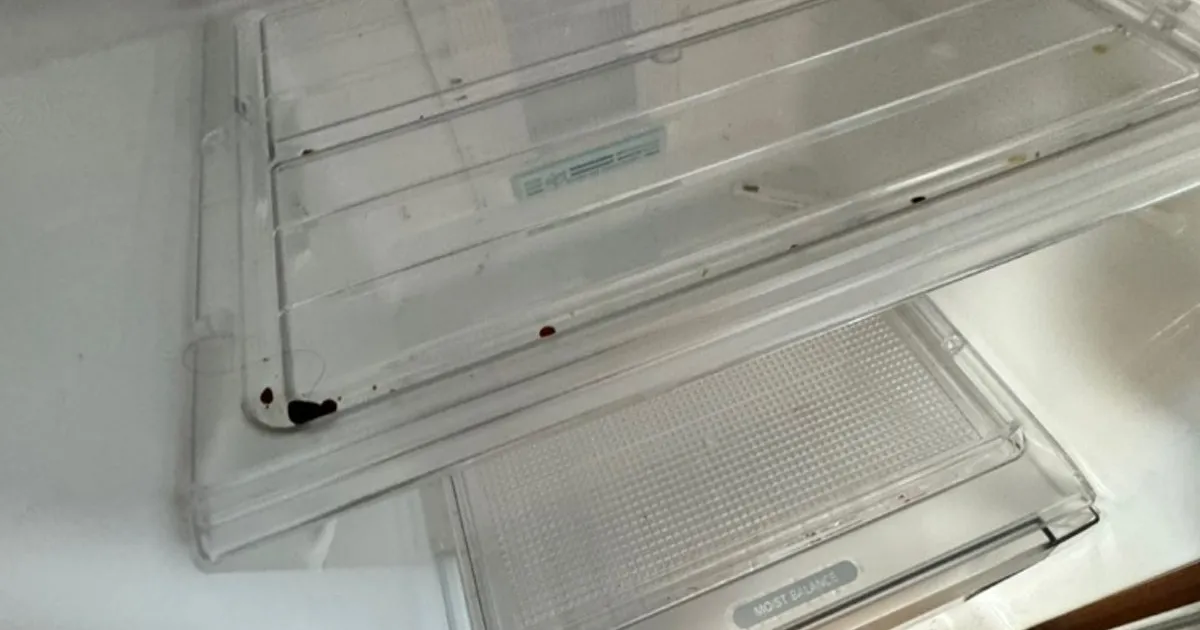 4시간정도 소요됐어요 꼼꼼하게 잘해주셔서 정말 감사합니다 가격도 좋았고 특히 급하게 견적받았는데도 시간을 다 맞춰주셔서