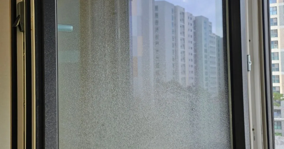 입주전날인데 빠르게 작업 잘 해주셨어요 피드백도 빨랐고 작업 후에 미흡한 부분도 잘 처리해 주셨습니다 창문과 창틀도 꼼꼼히