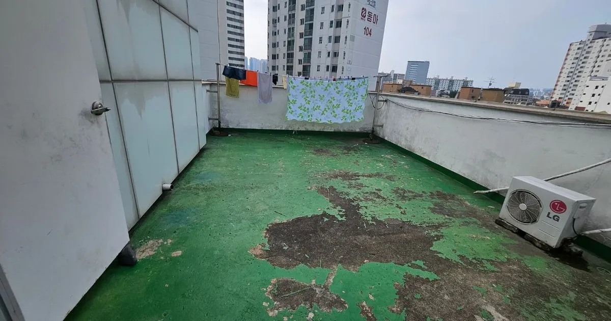 천막밑에 70도가 넘는데 스프링쿨러 문의했을때 섬세히 상담해주시더라구요 이런작업 하는곳도 없고 막막했는데 고민을 정말많이