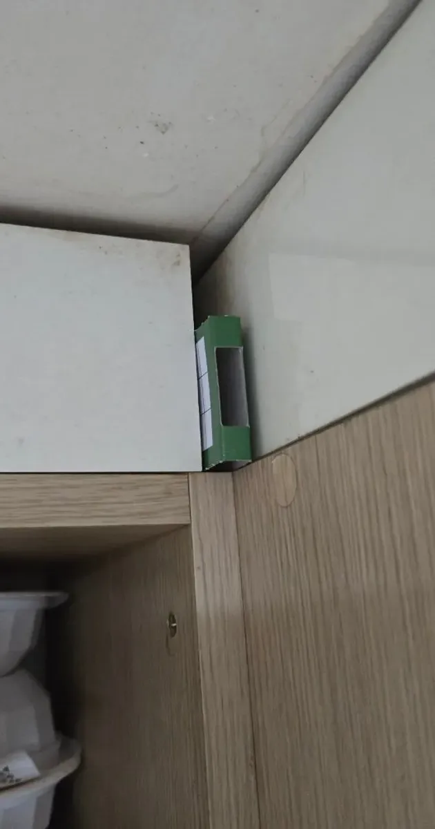입주한집이 벌레가 좀 나와서 곤란했었는데 당일예약인데도 불구하고 예약 잡아주시고 너무 친절하게 응대해주셨습니다 이것저것 설명도