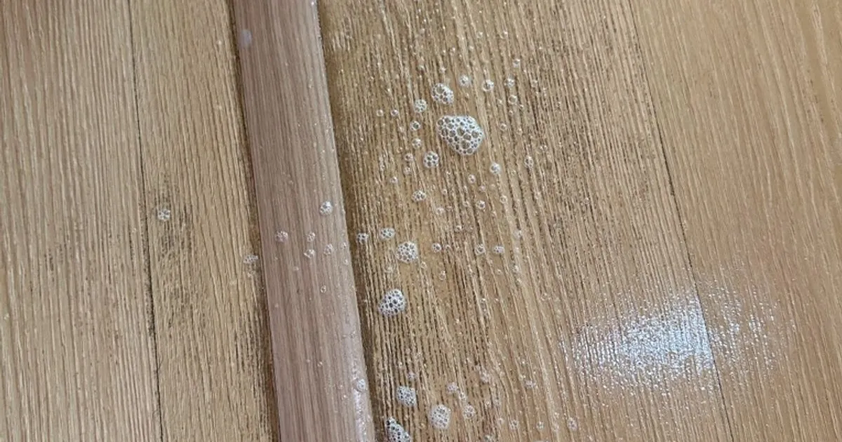 빠른 일정으로 조율해서 합리적인 가격으로 진행했습니다 세심한 부분까지 신경써주시고 묵은때와 담배냄새 문고리 찌든때 등 문제 많은 부분 집중적으로 더 청소 해