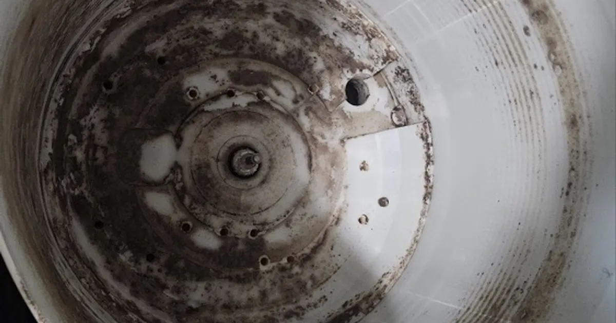 진짜 너무 만족합니다 일단 너무 친절하시고 꼼꼼하십니다 전 후 다보여주시고 앞으로 어떻게 관리하면 좋은지 하나하나 설명 다해주시고 가격도 추가금 없이 원래 고지받은대로